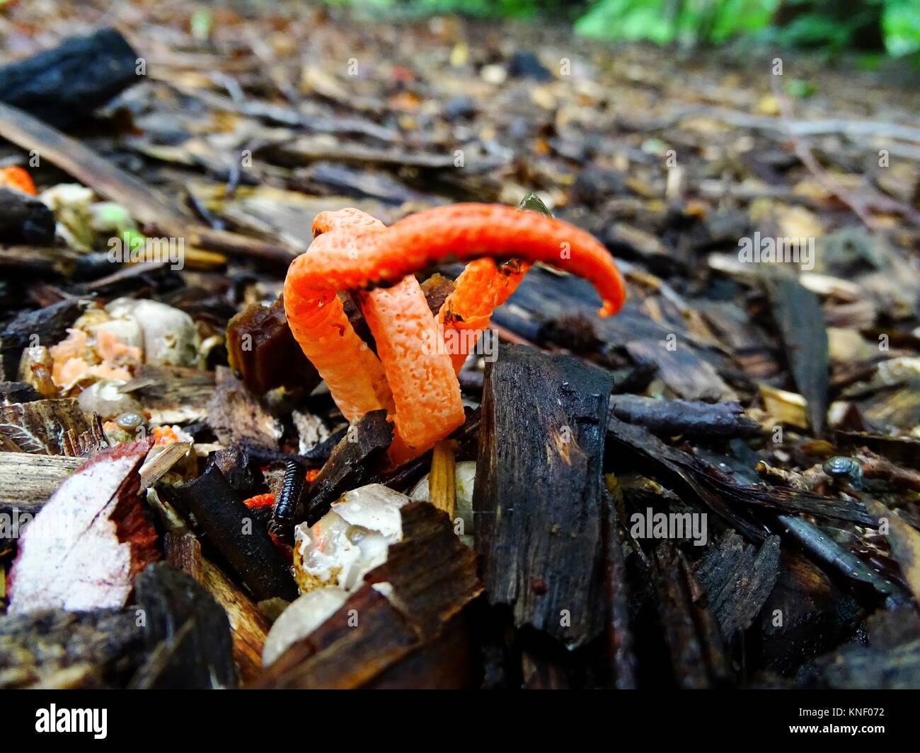 Out of way hi-res stock photography and images - Alamy