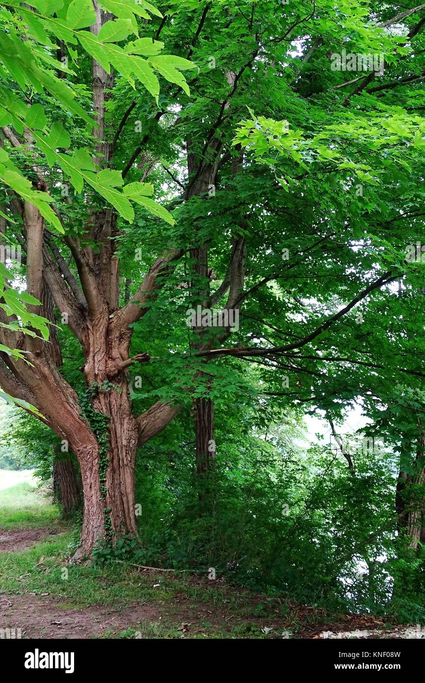 Beside a path hi-res stock photography and images - Alamy