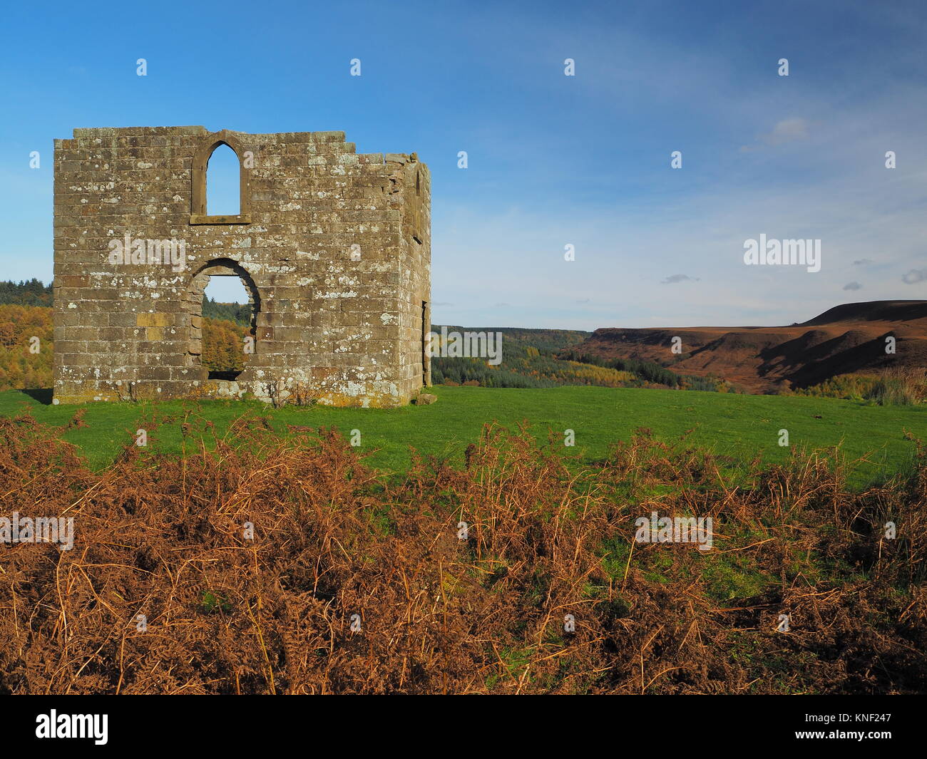 Ruins of Skelton Tower on the moors Stock Photo - Alamy