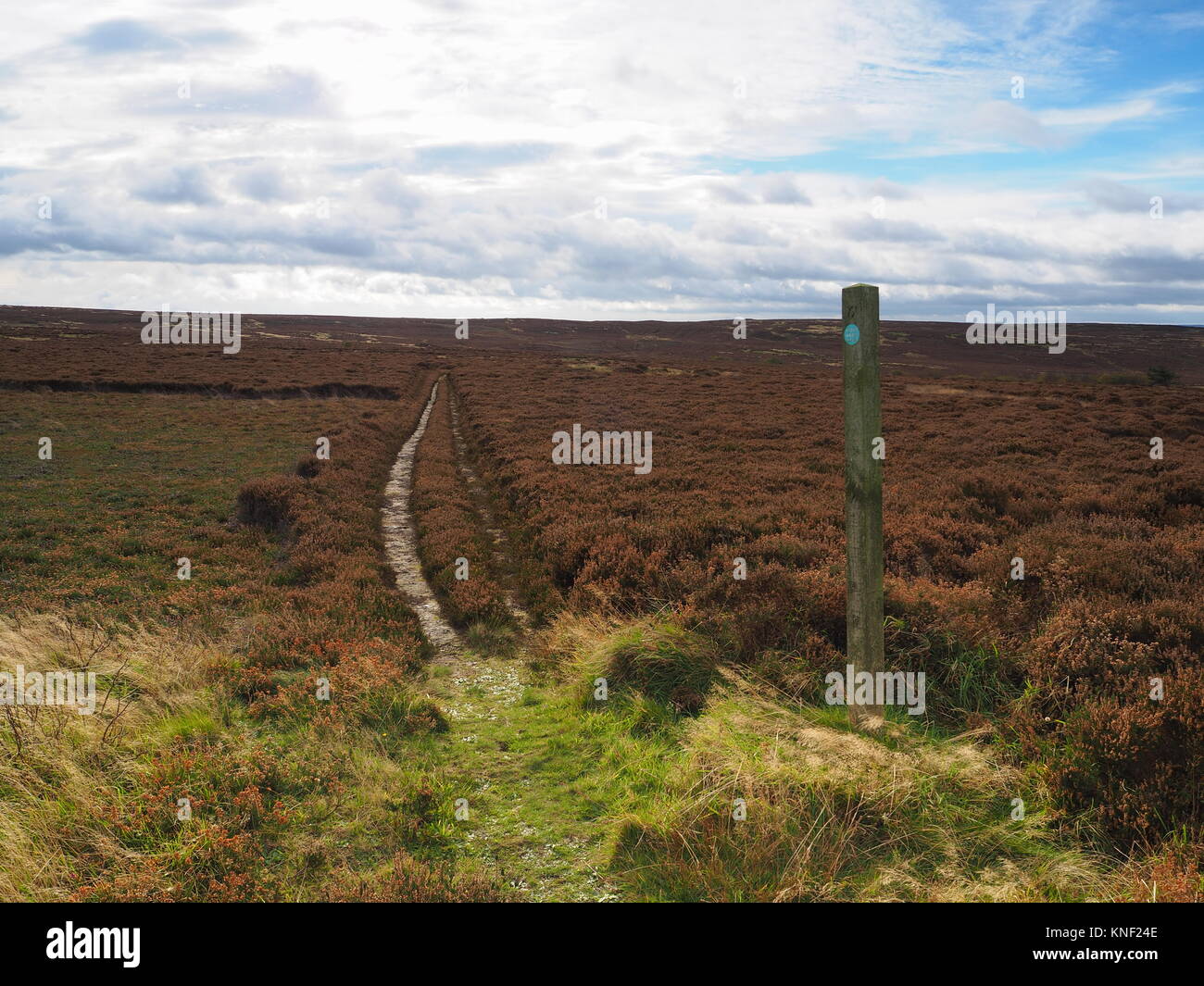 Walking across the moors hi-res stock photography and images - Alamy