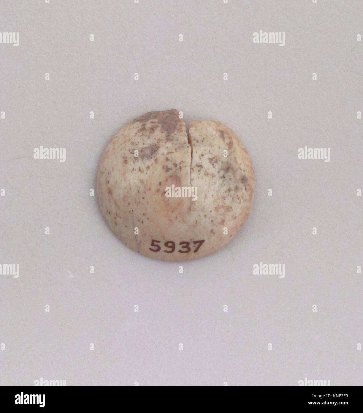 Spindle whorl. Medium: Bone; Dimensions: Diameter: 3/4 x 3/16 in. (1.9 ...