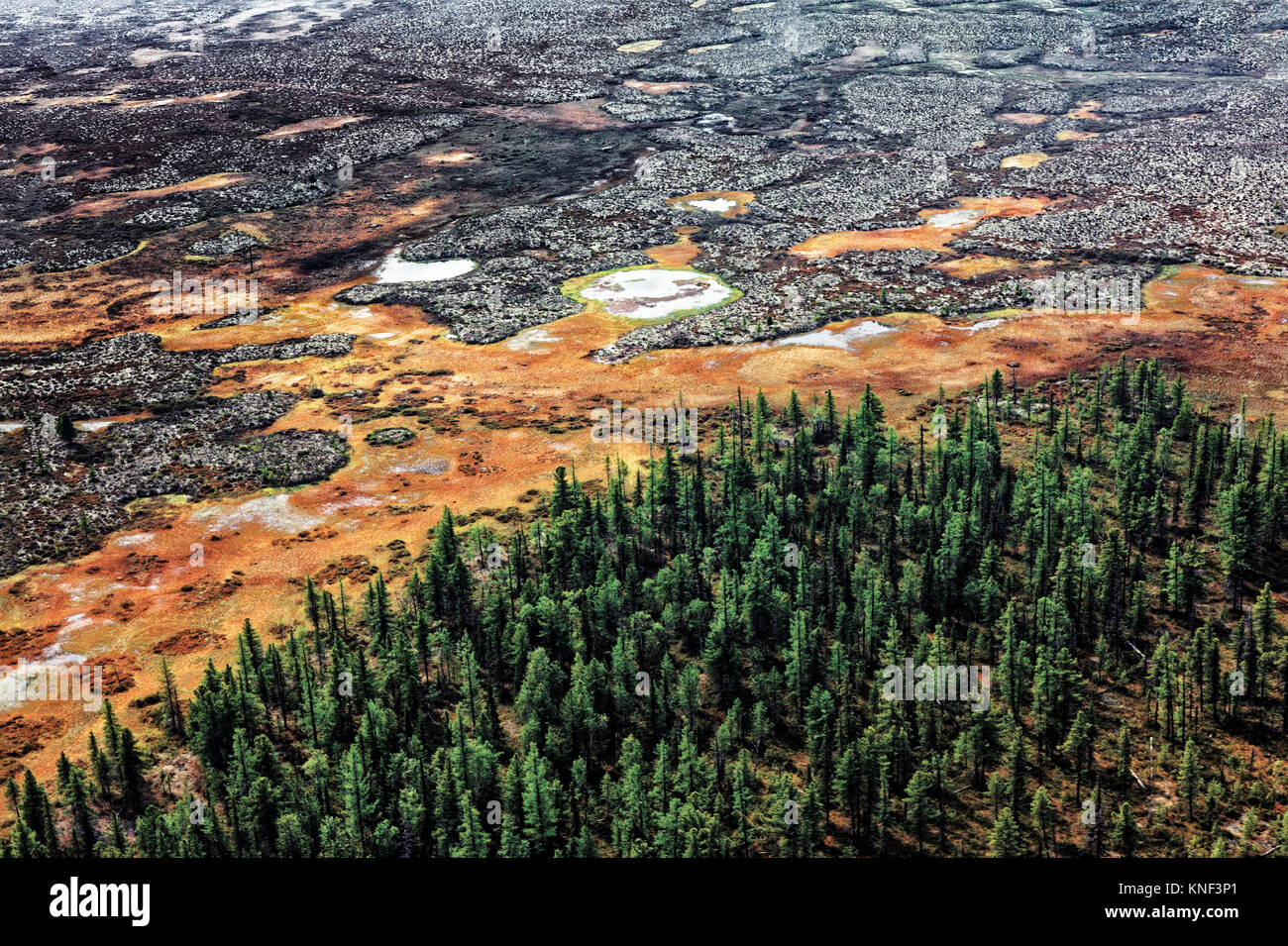 Tundra Polygon High Resolution Stock Photography and Images - Alamy