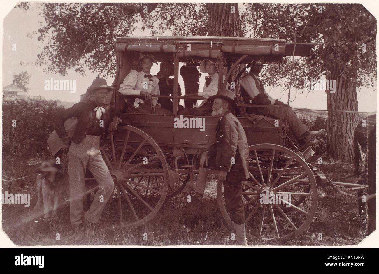 1890 horse drawn carriage hi-res stock photography and images - Alamy