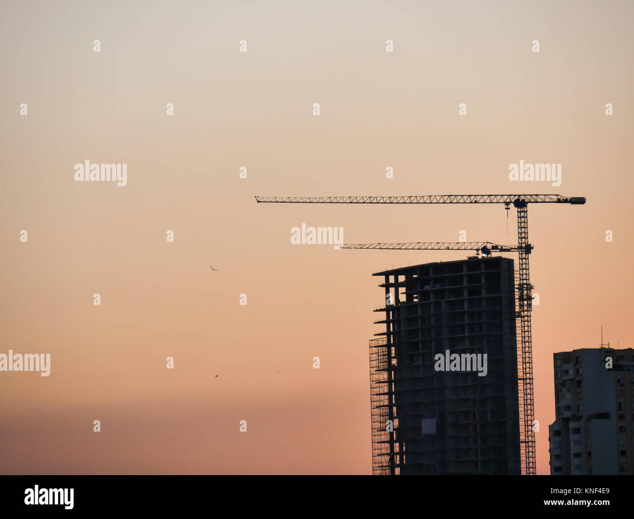 Construction crane and tower at orange sunset Stock Photo - Alamy