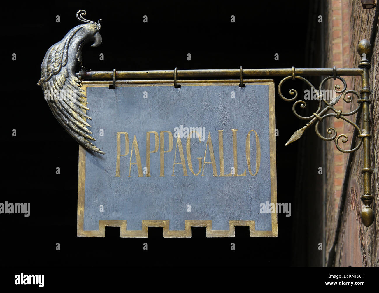 Pappagallo bologna hi-res stock photography and images - Alamy