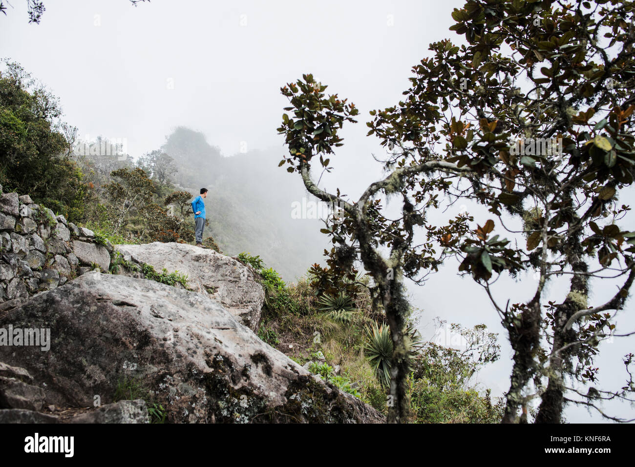 Man hiking up Machu Picchu Mountain at Machu Picchu, Peru Stock Photo ...