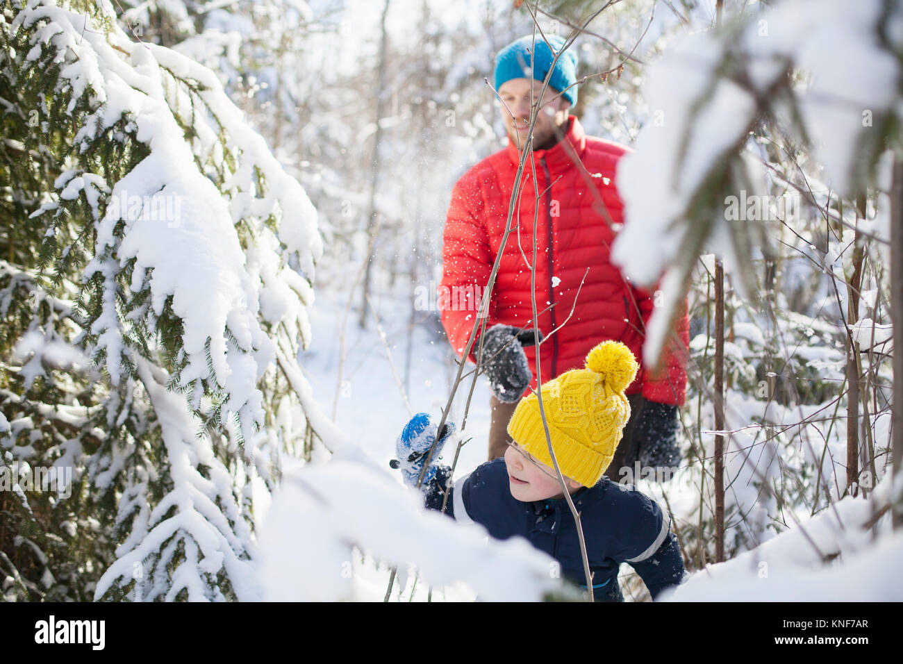 Man and son exploring while walking through snow covered forest Stock ...