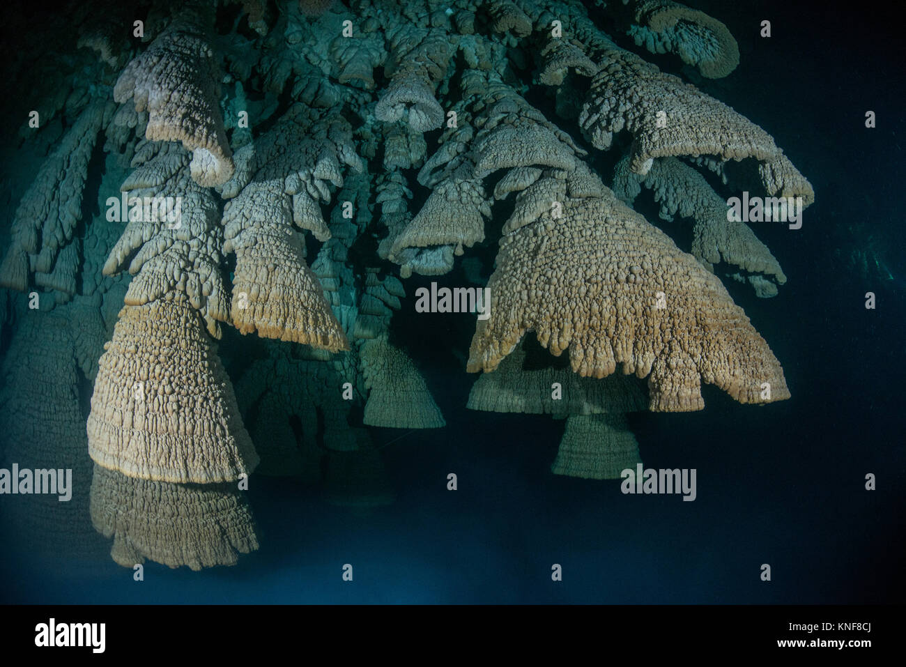 Rock formations underwater in hi-res stock photography and images - Alamy