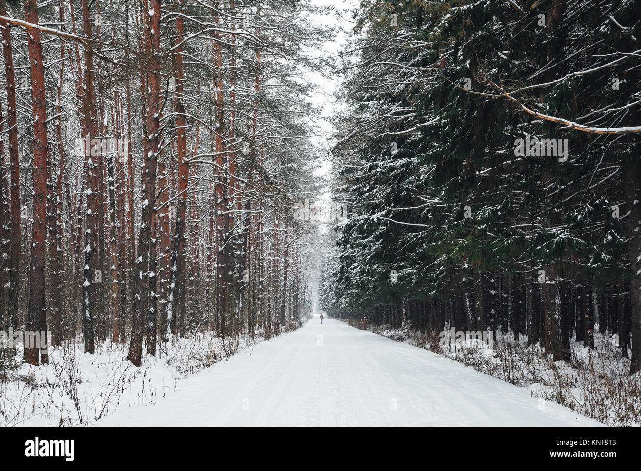 Man walks on snow covered hi-res stock photography and images - Alamy