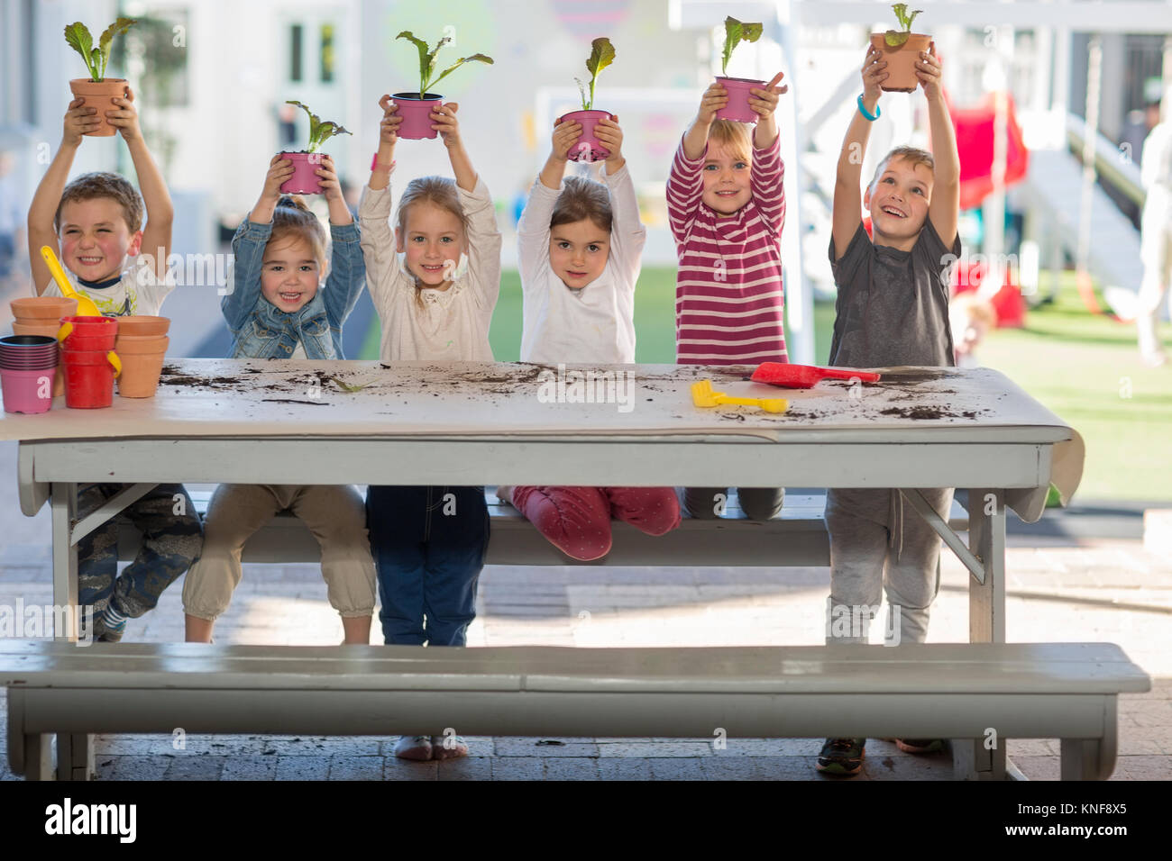 Girls and boys at preschool, portrait holding up pot plants at picnic ...
