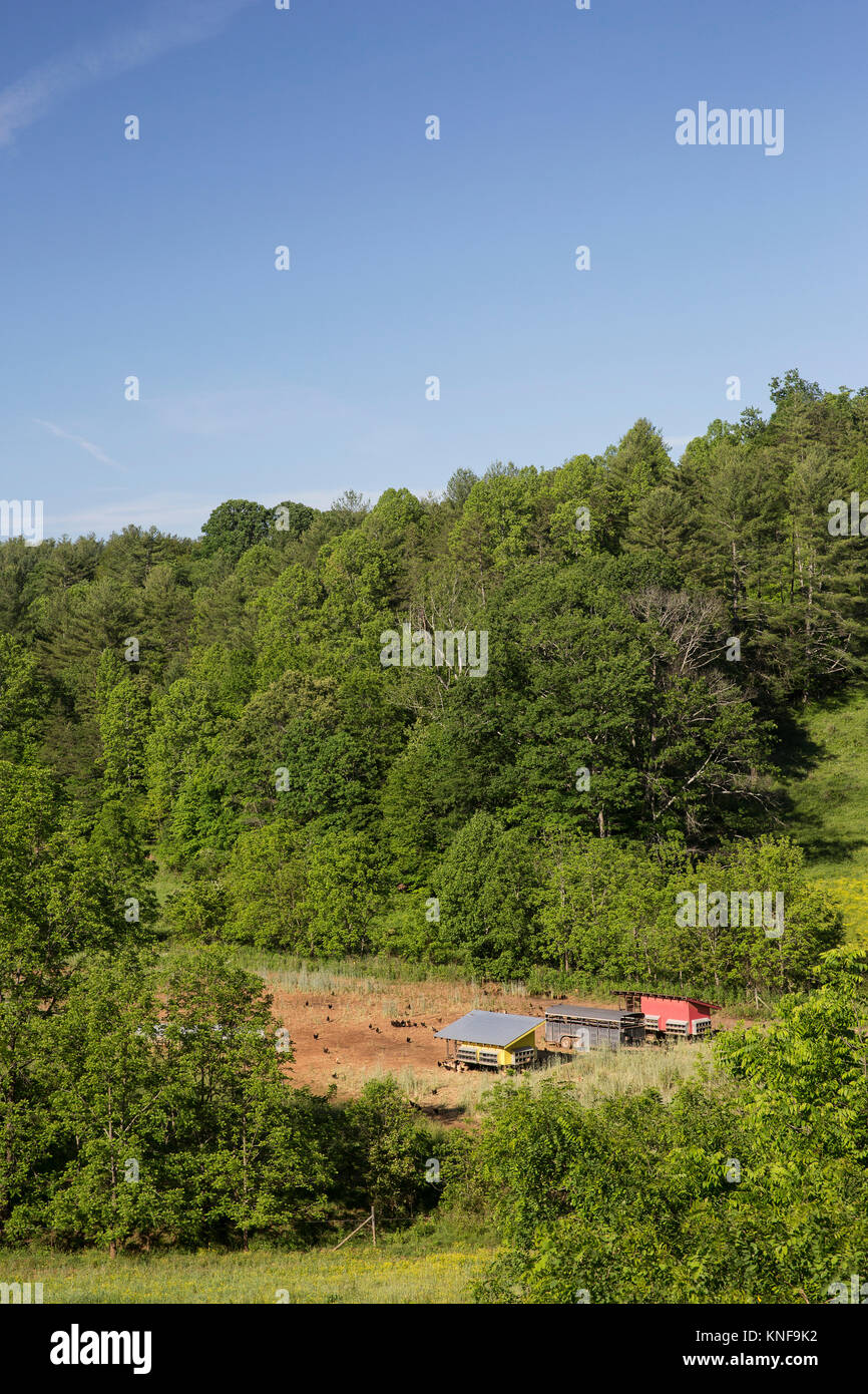 Free range chicken farm house hi-res stock photography and images - Alamy
