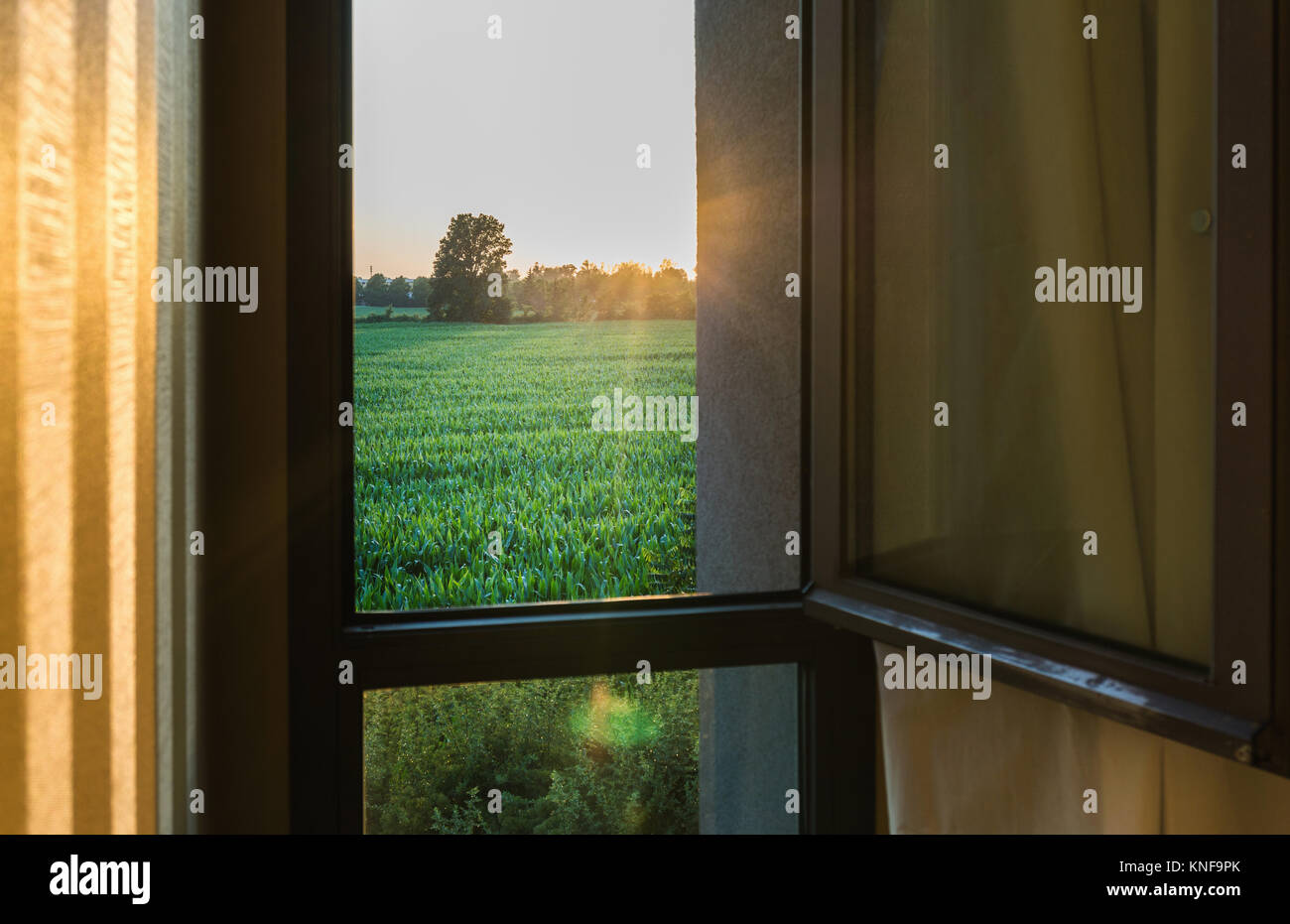Window view of green field at sunset Stock Photo - Alamy