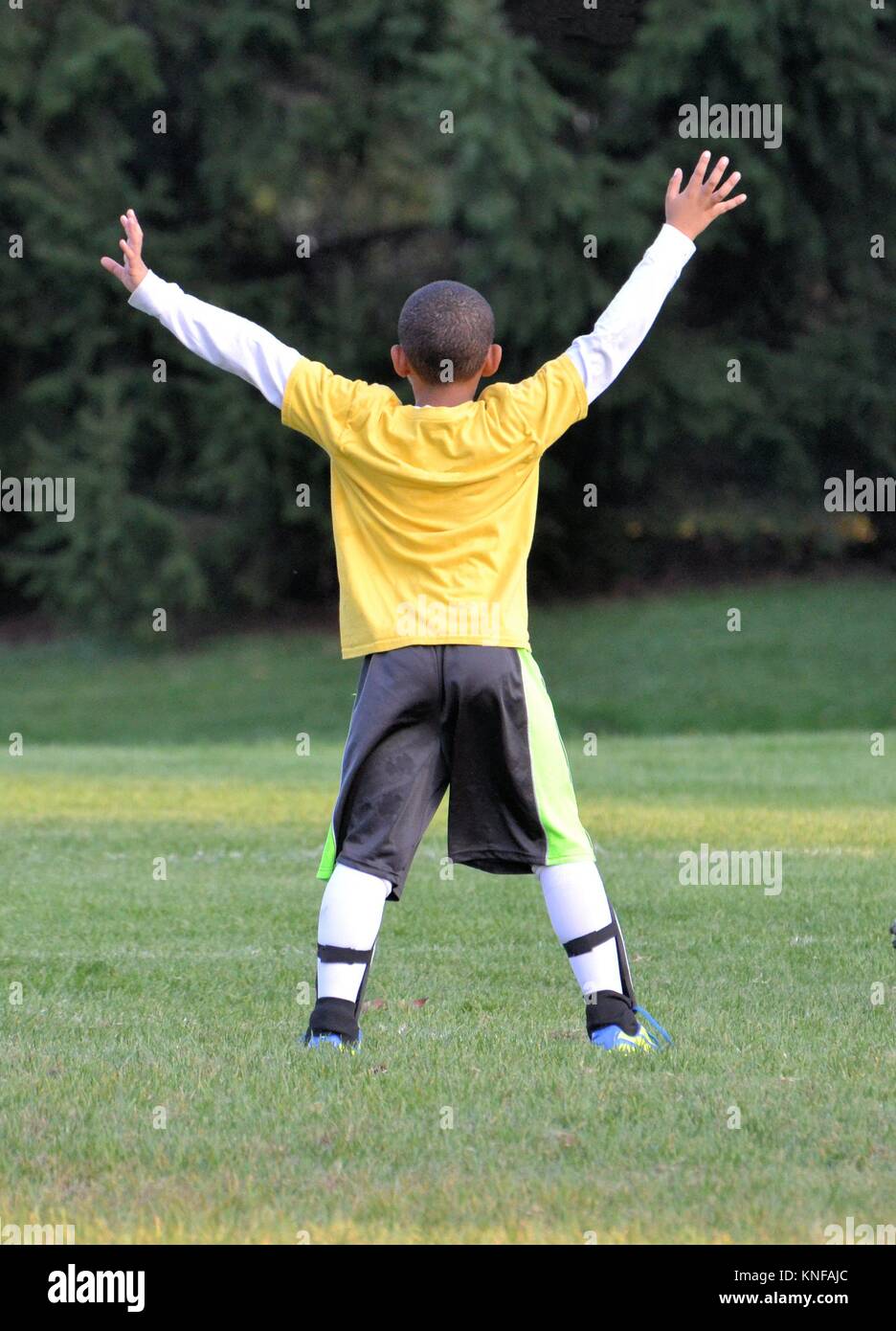 Illinois downers grove hi-res stock photography and images - Alamy