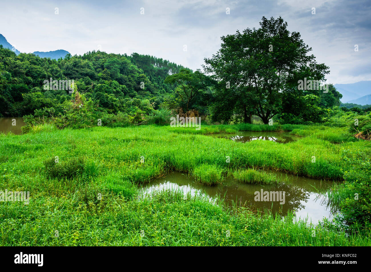 Beautiful countryside scenery Stock Photo - Alamy