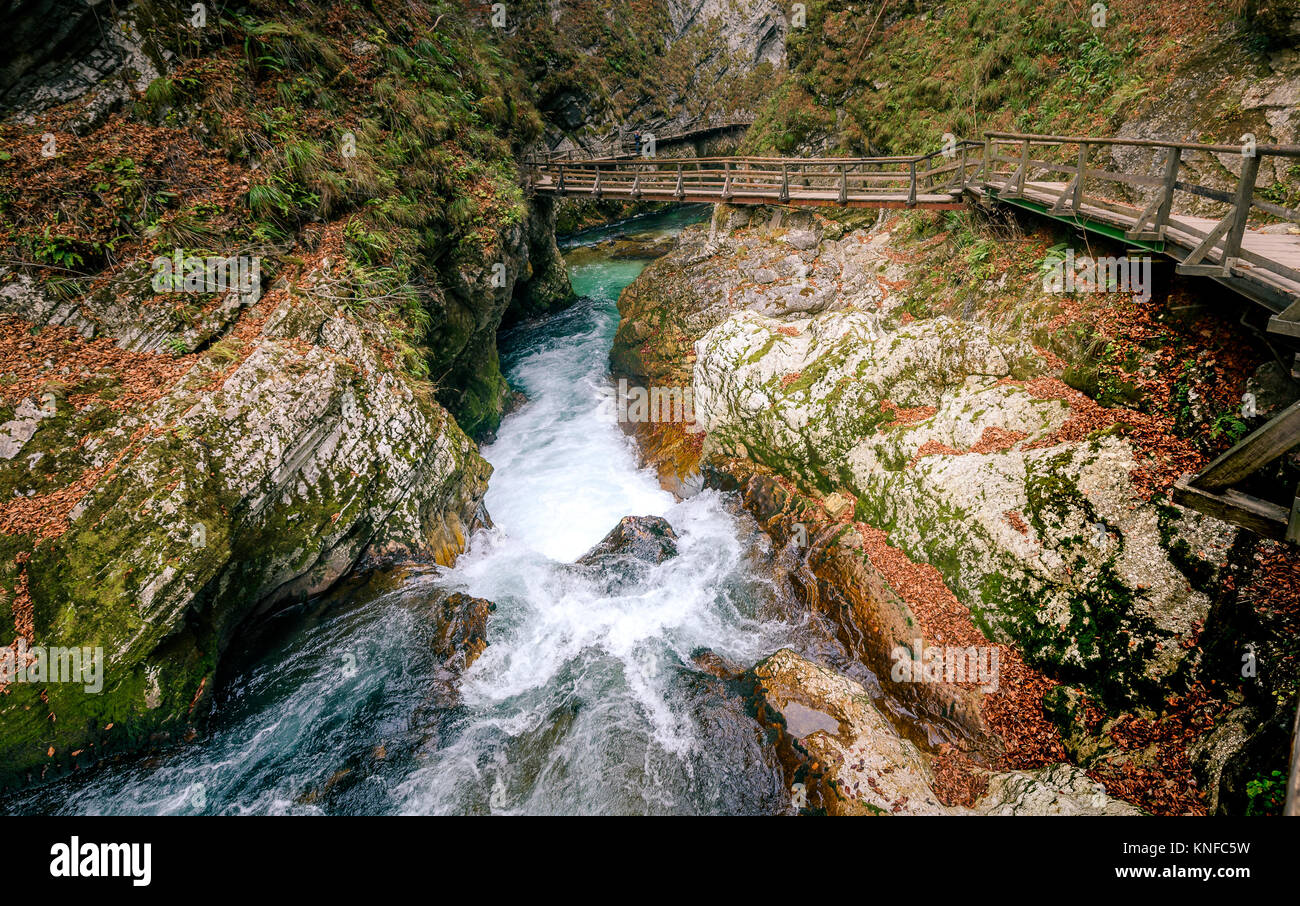 Soteska Vintgar, The Vintgar Gorge or Bled Gorge in Slovenia. Famous ...