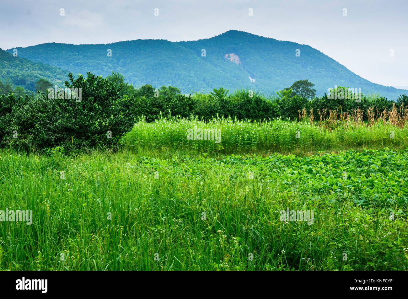 Beautiful countryside scenery Stock Photo - Alamy