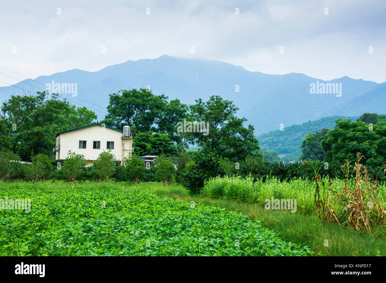 Beautiful countryside scenery Stock Photo - Alamy