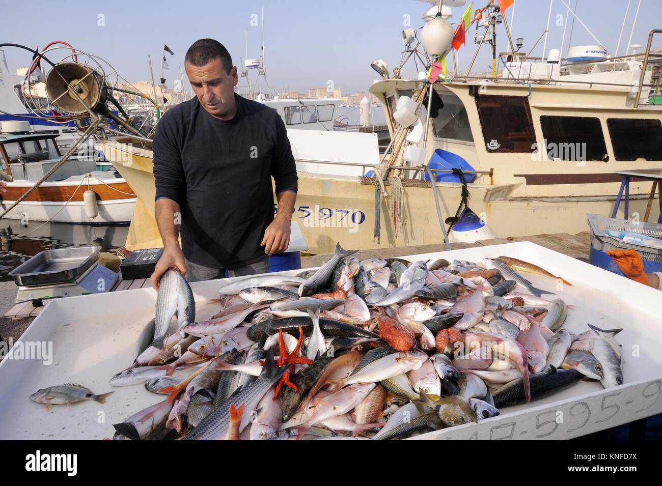 Marseille (France), fish market in the Old Port Stock Photo - Alamy