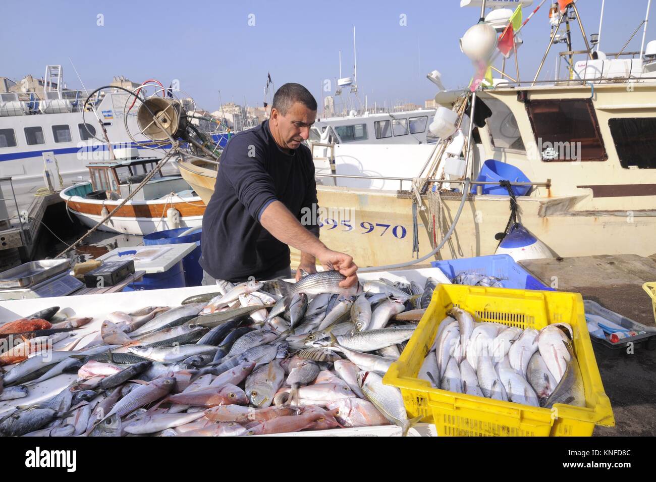 Marseille (France), fish market in the Old Port Stock Photo - Alamy