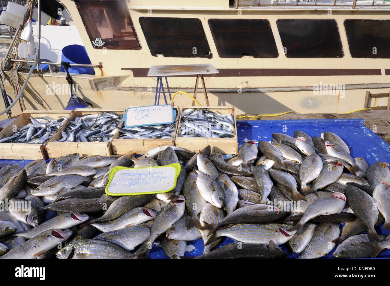 Marseille (France), fish market in the Old Port Stock Photo - Alamy