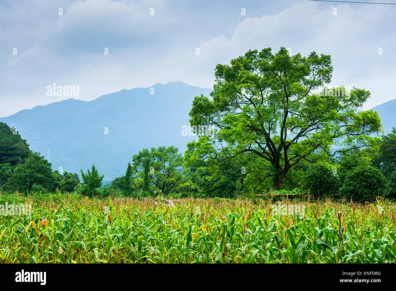 Beautiful countryside scenery Stock Photo - Alamy