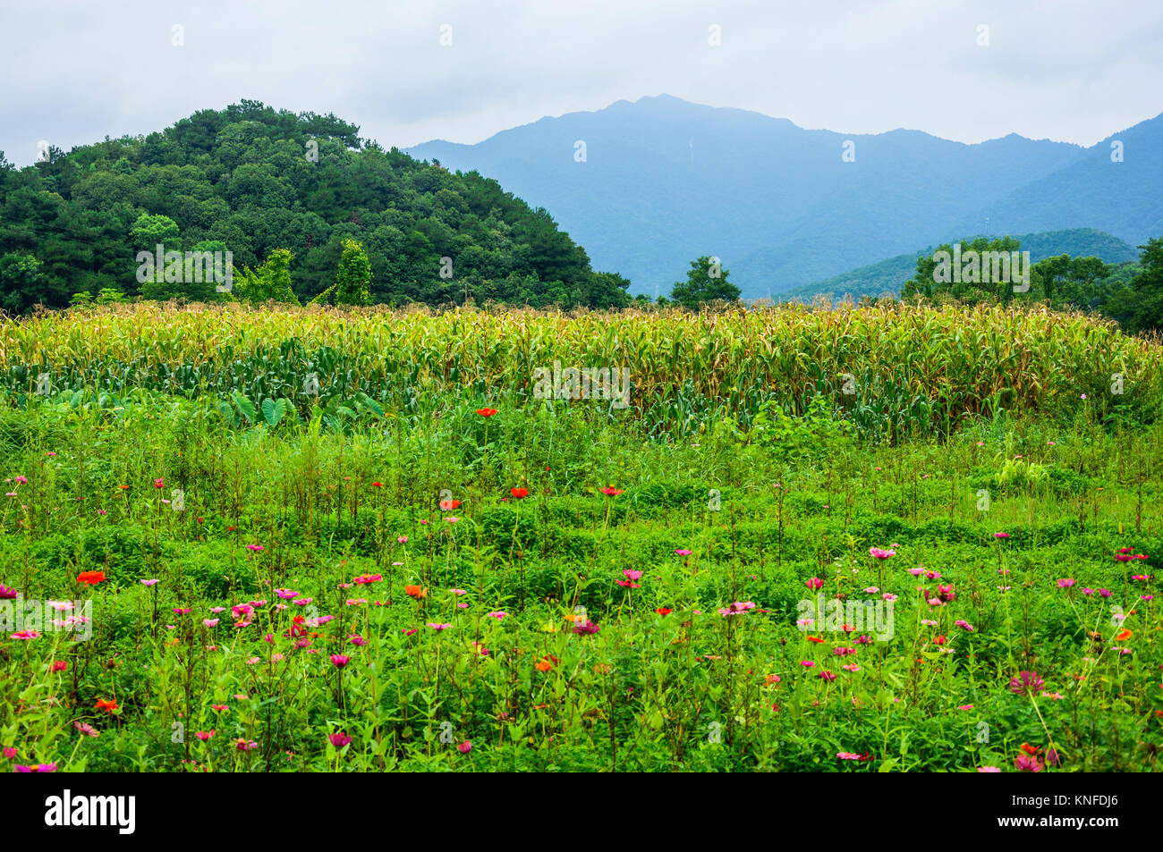 Beautiful countryside scenery Stock Photo - Alamy