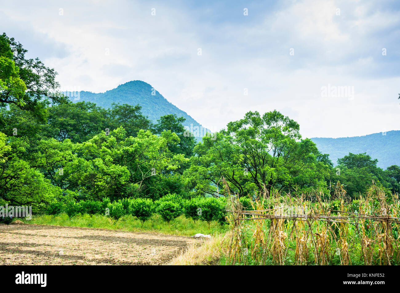 Beautiful countryside scenery Stock Photo - Alamy