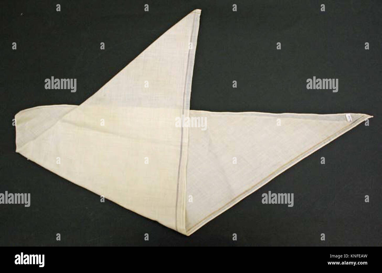 A fichu, a delicate piece of fabric worn around the shoulders or neck ...