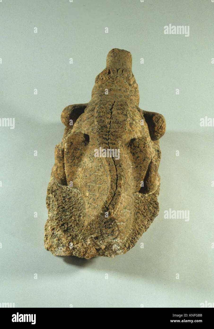 Crocodile statue hi-res stock photography and images - Alamy