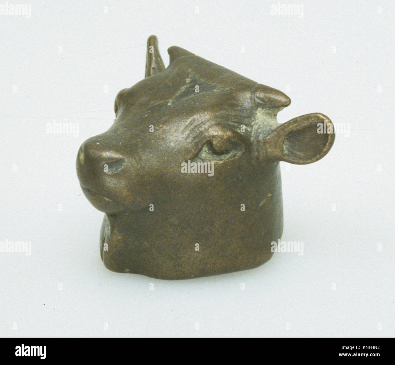 Bulls head weight hi-res stock photography and images - Alamy