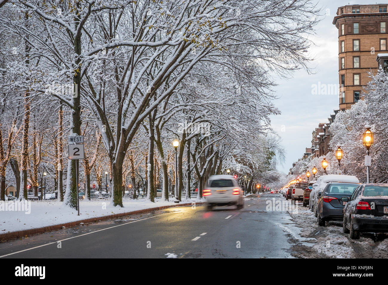 Boston, winter, commonwealth avenue hi-res stock photography and images ...