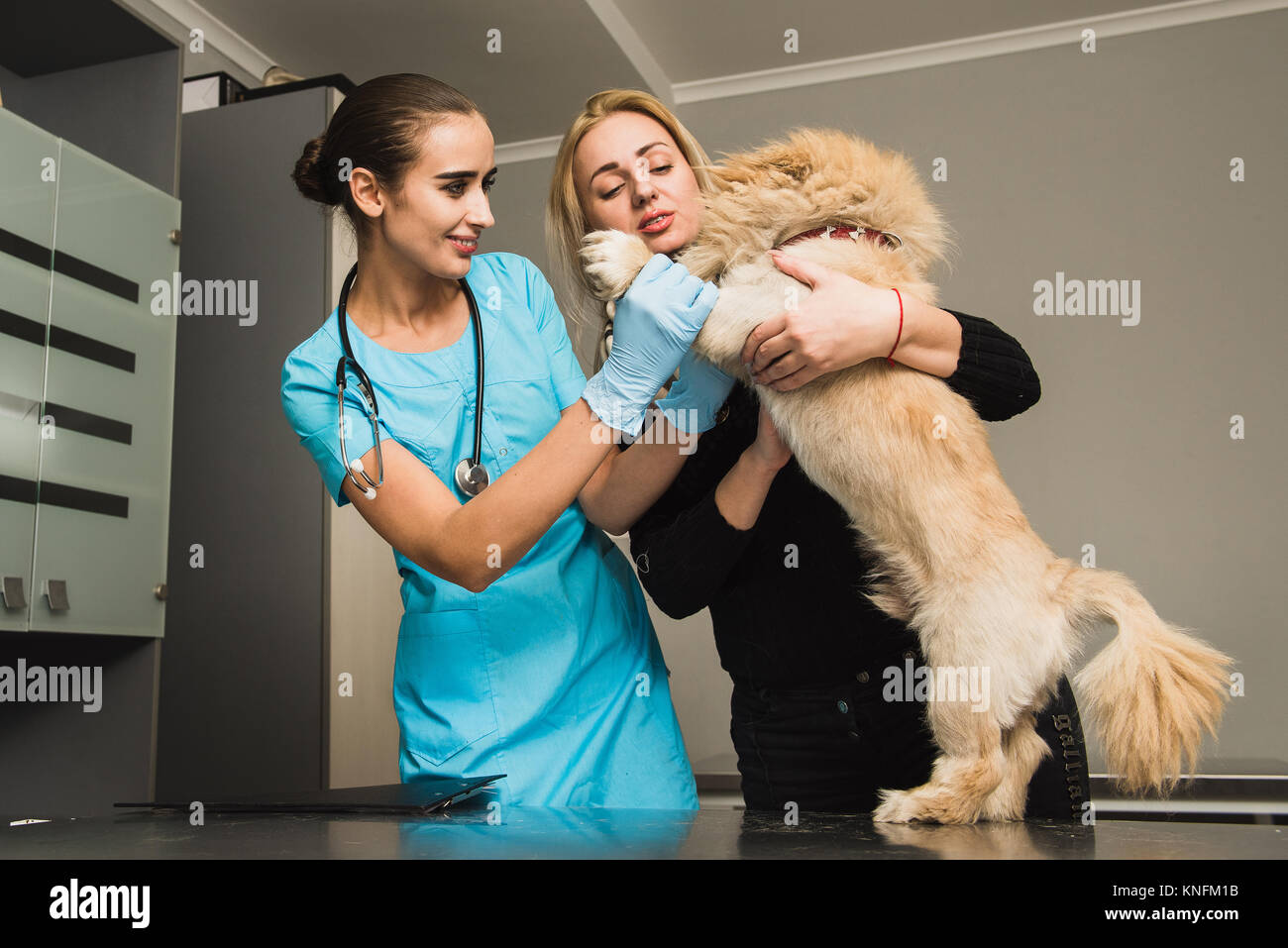 First female vet hi-res stock photography and images - Alamy