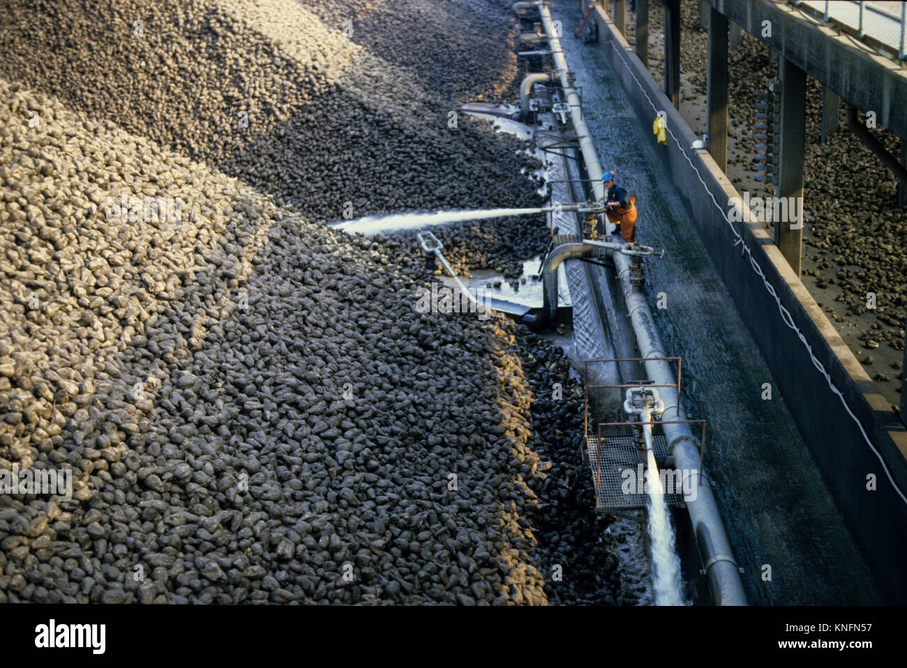 Sugar beet storage at the Mill Stock Photo - Alamy