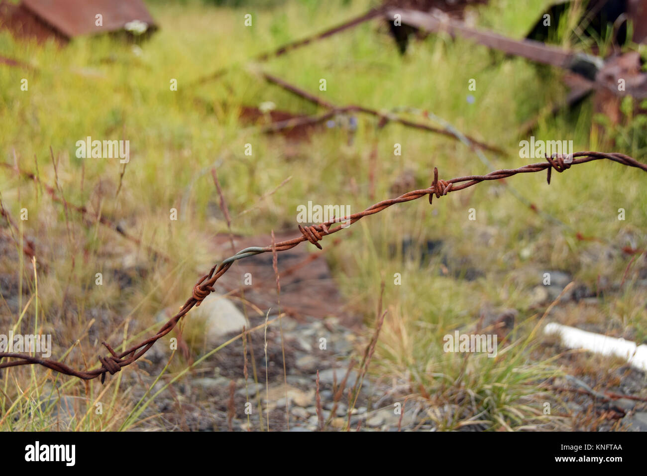 Remains of the Butugychag gulag camp in the Kolyma mountains, north ...