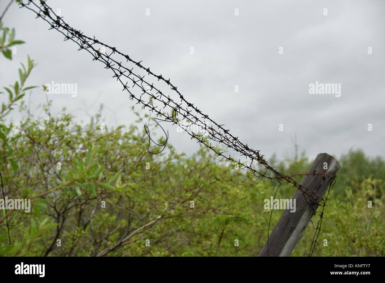 Remains of the Kadyktchan gulag camp , in the northern part of Kolyma ...