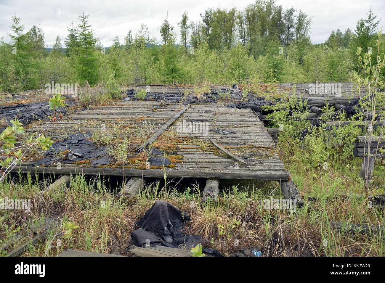 The former Kadyktchan gulag camp , in the northern part of Kolyma ...
