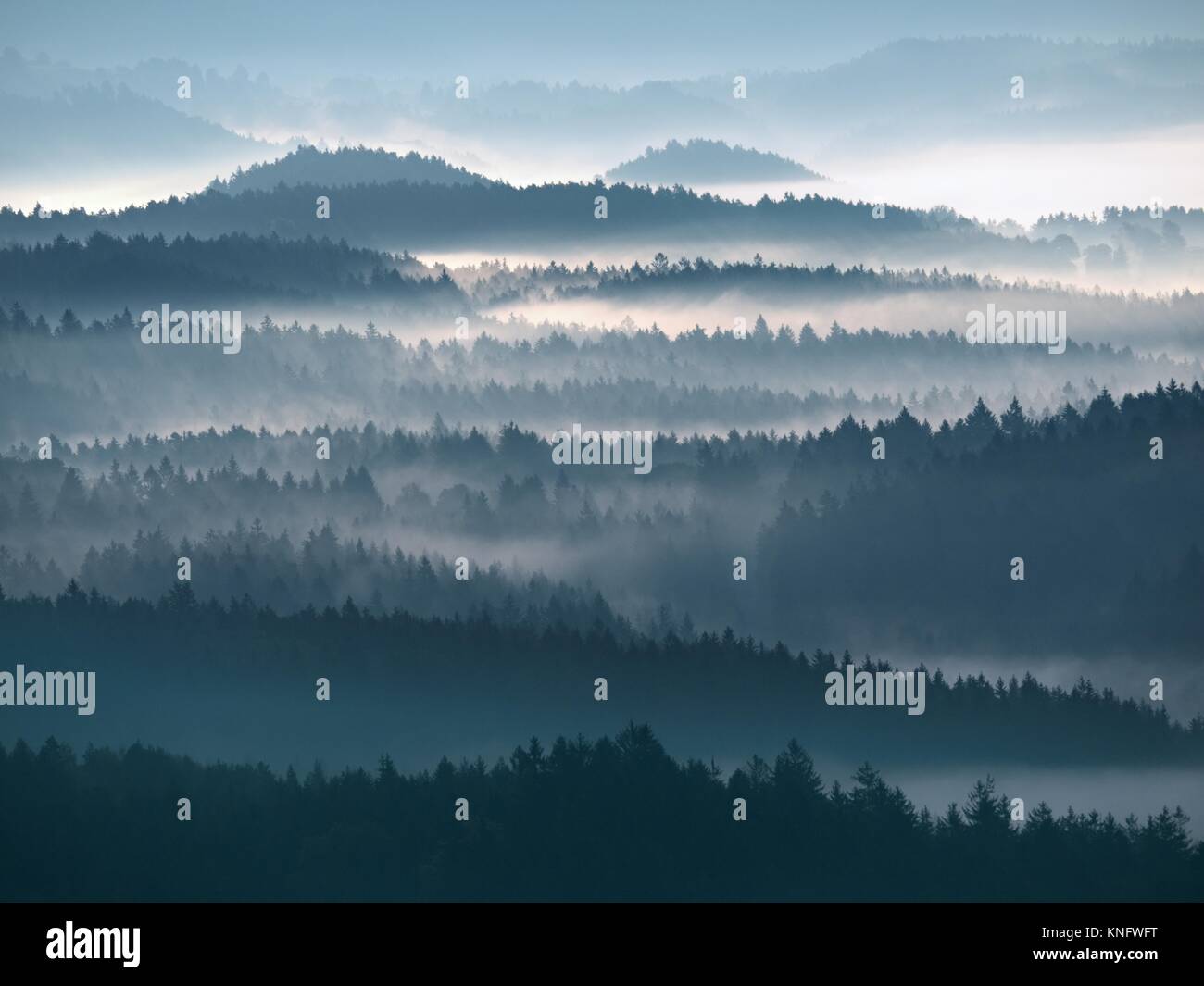 Magnificent heavy mist in landscape. Autumn creamy fog in landscape ...