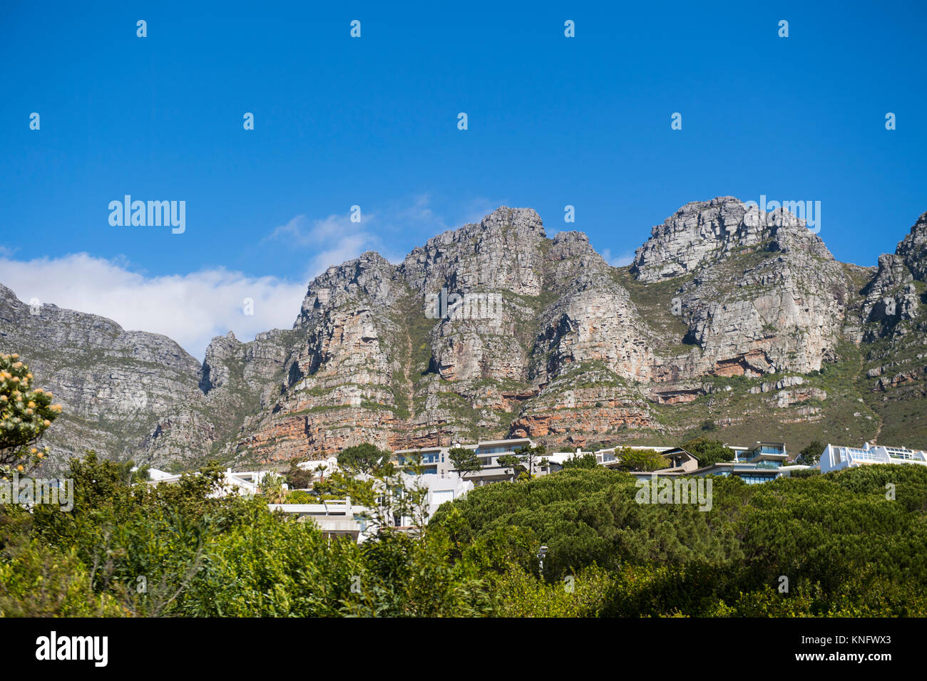 Houses below Table Mountain in Cape Town, South Africa Stock Photo - Alamy
