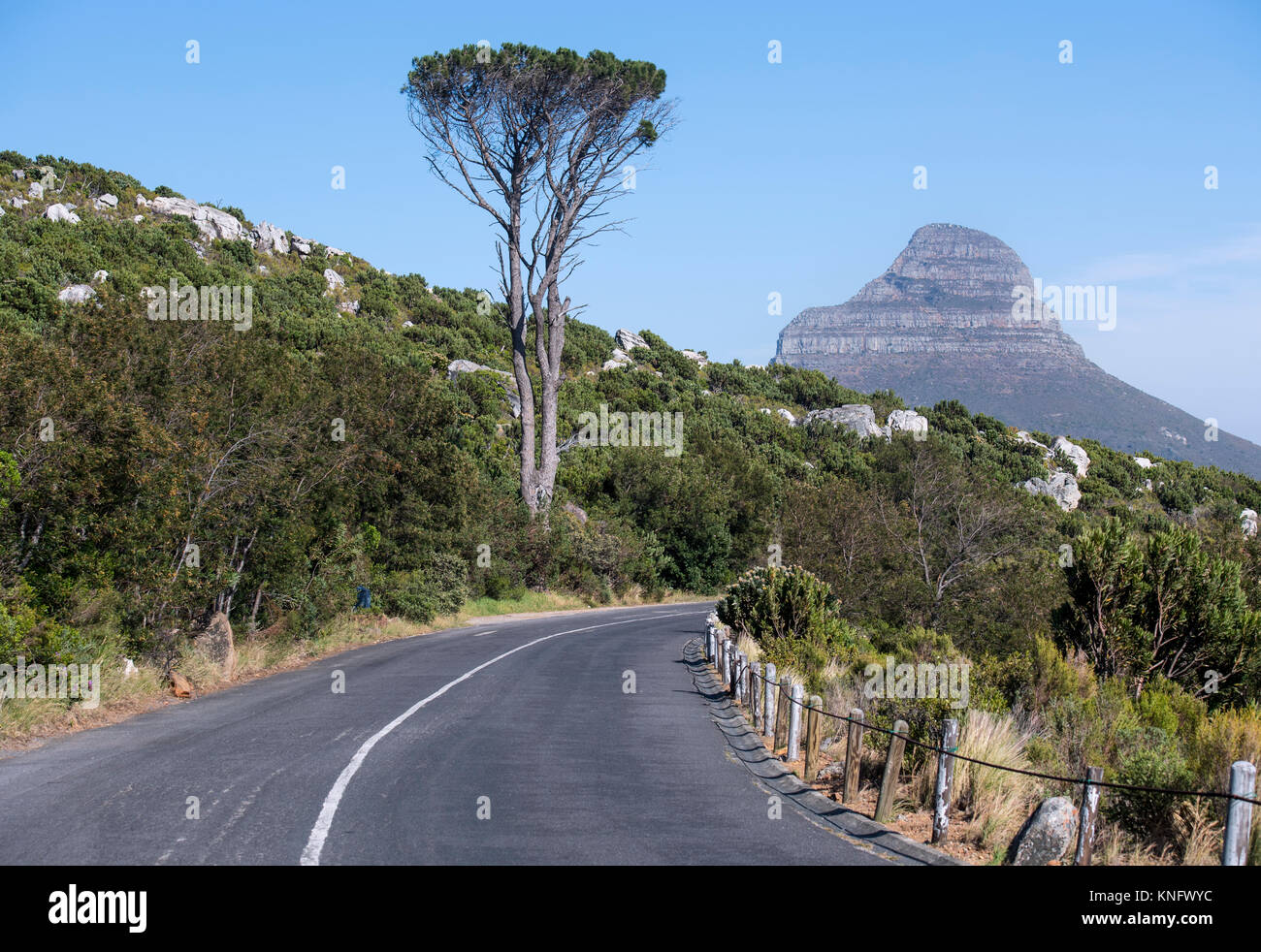 The road below Table Mountain in Cape Town, South Africa, with Lion's ...
