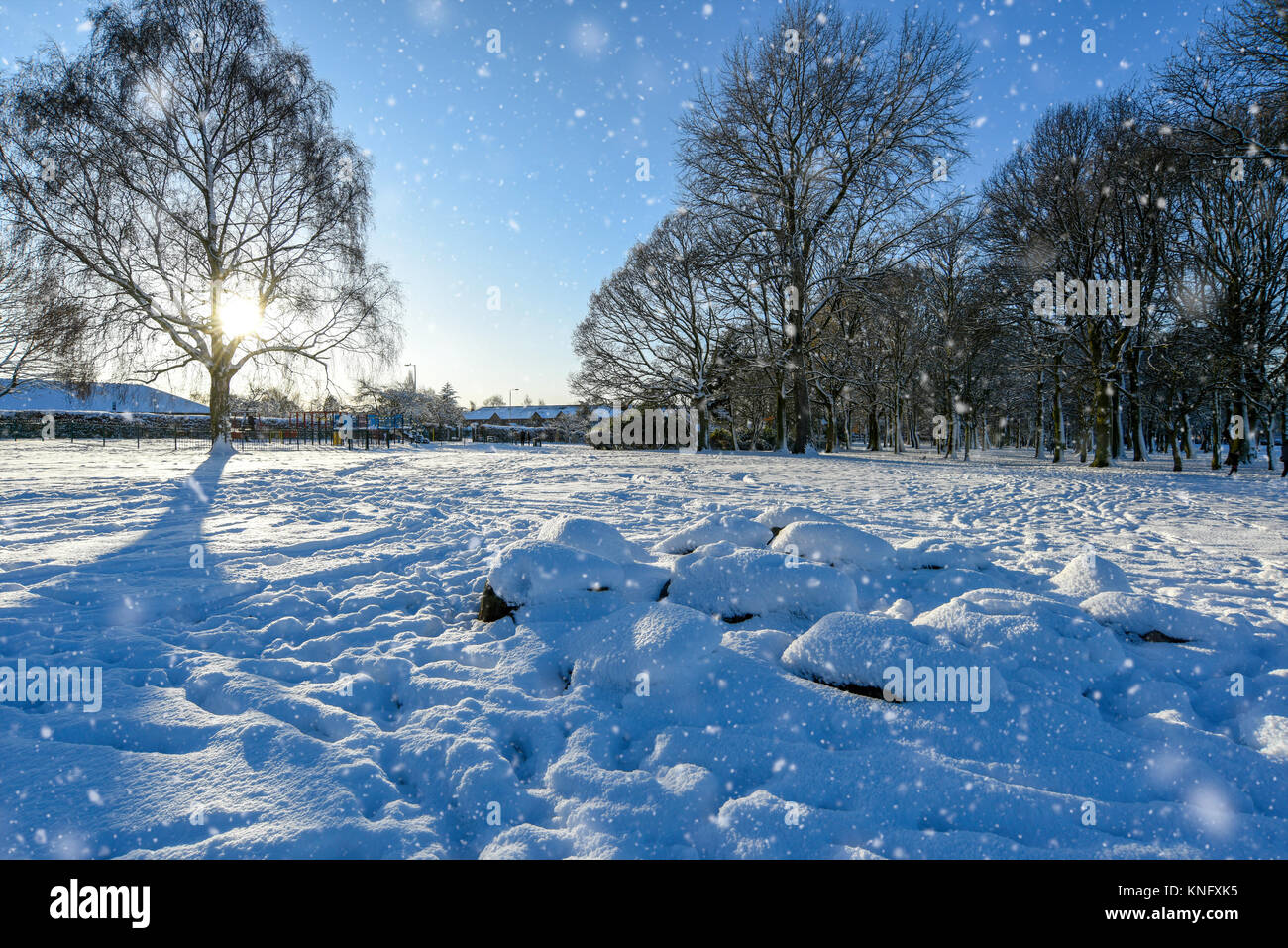 A winter scene of snowfall in a park Stock Photo - Alamy