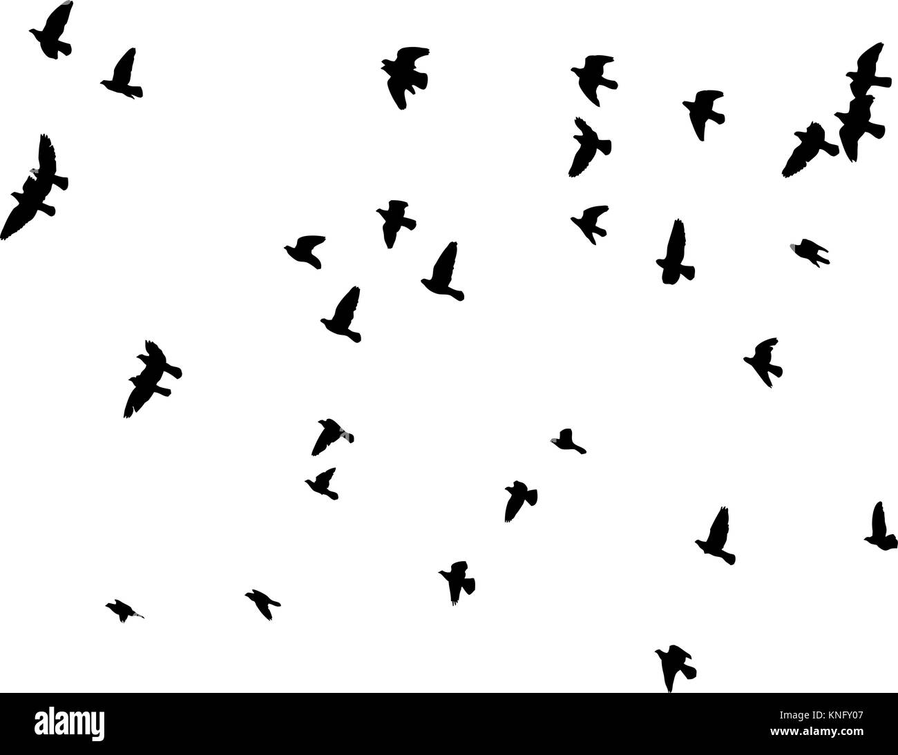 Pigeons illustration collection vector Cut Out Stock Images & Pictures ...