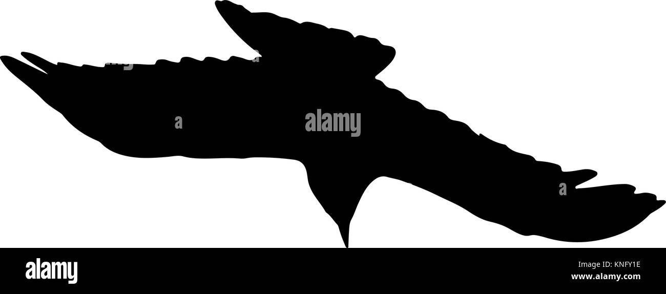 crow in flight isolated on white background Stock Vector Image & Art ...