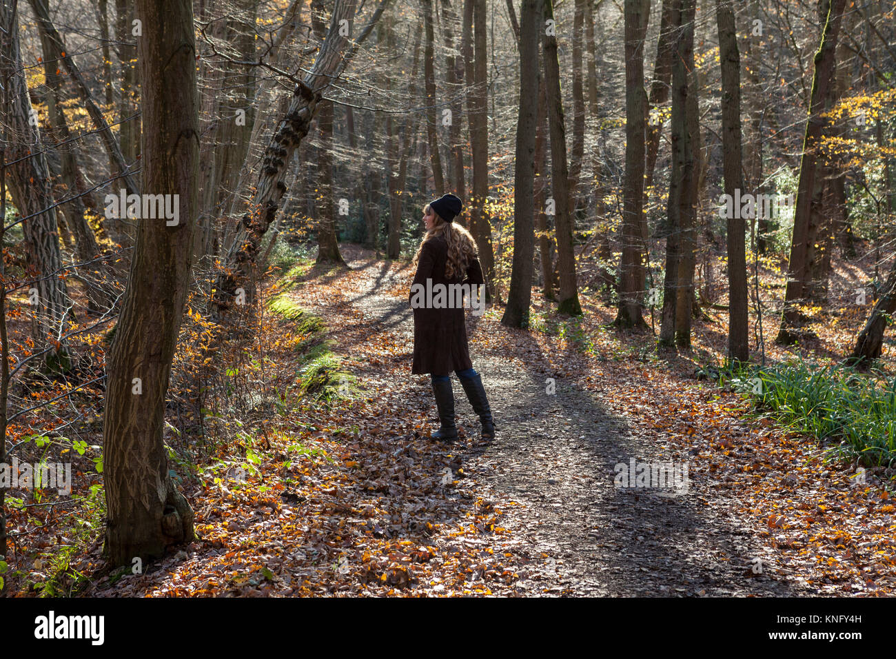 Lady walking through Broxbourne Woods, National Nature Reserve, along ...