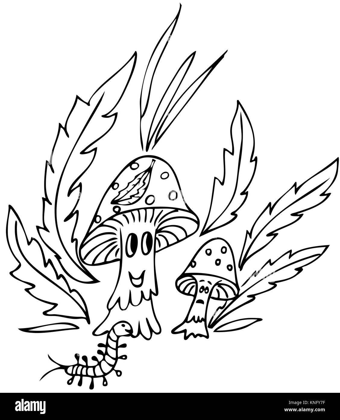 Toadstool fly agaric mushroom Black and White Stock Photos & Images - Alamy