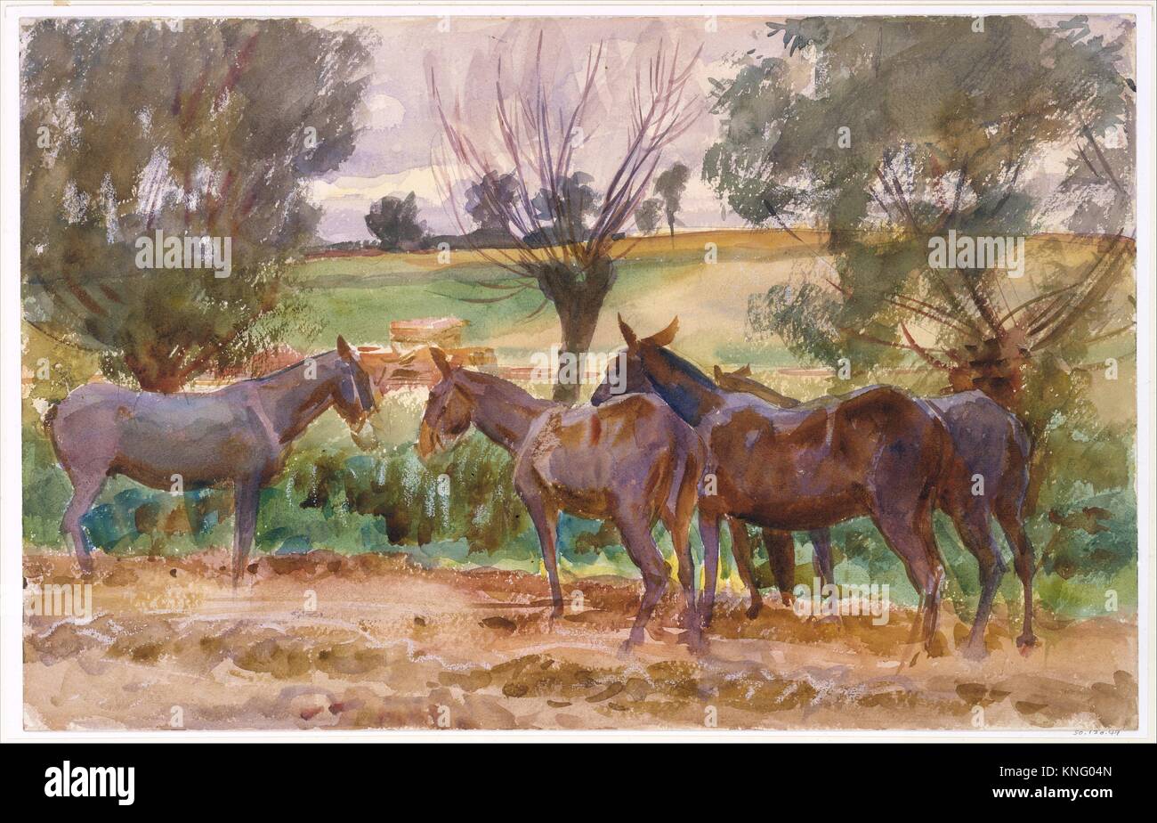 Mules. Artist: John Singer Sargent (American, Florence 1856-1925 London ...