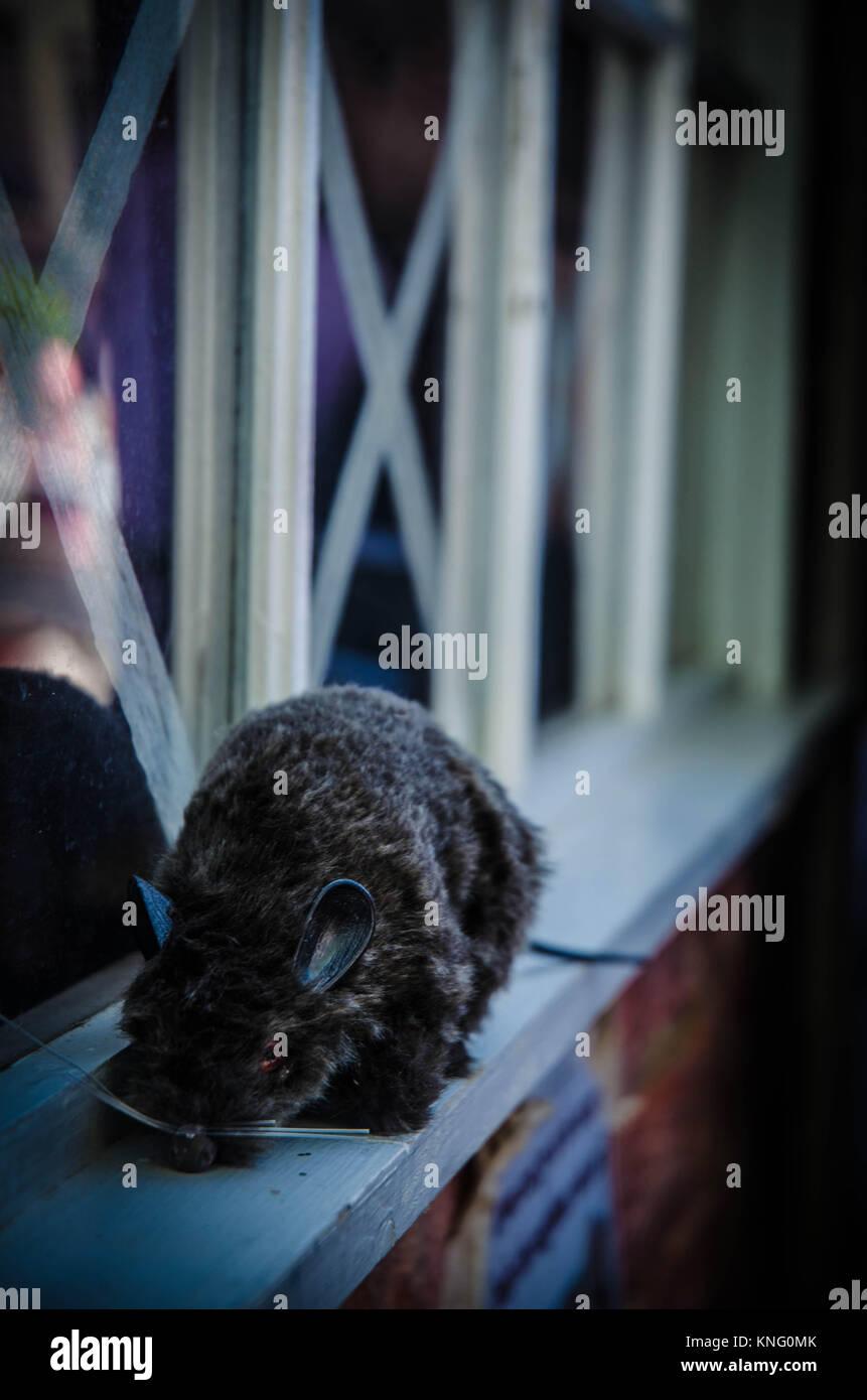 Tom jerry mouse hi-res stock photography and images - Alamy