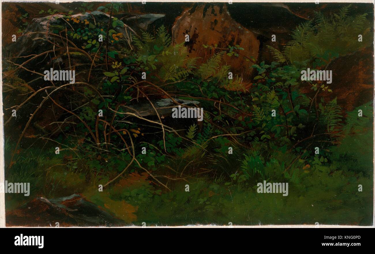 William stanley haseltine hi-res stock photography and images - Alamy