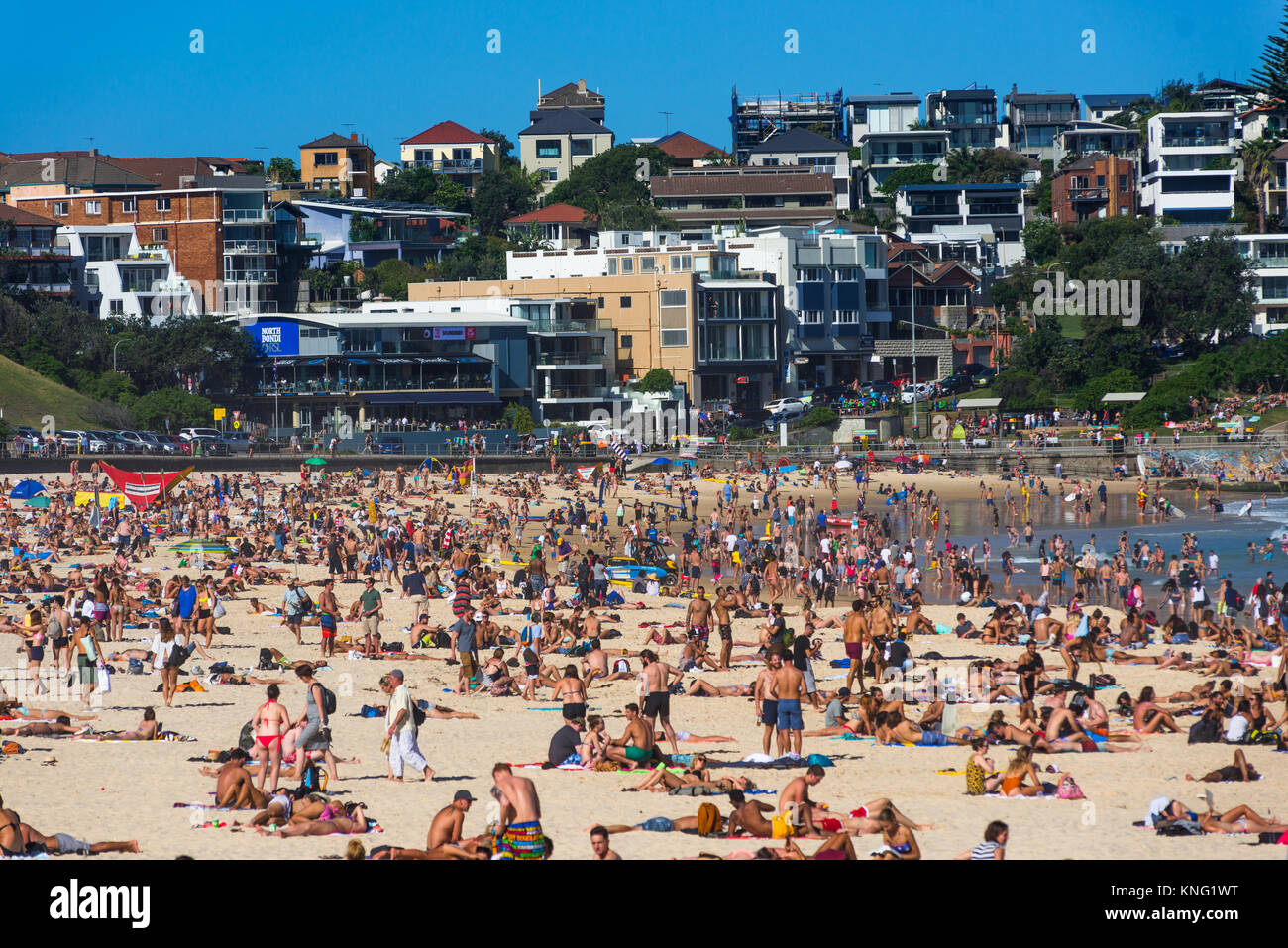 A crowded Bondi beach on a summer's day. Sydney, NSW. Australia Stock ...