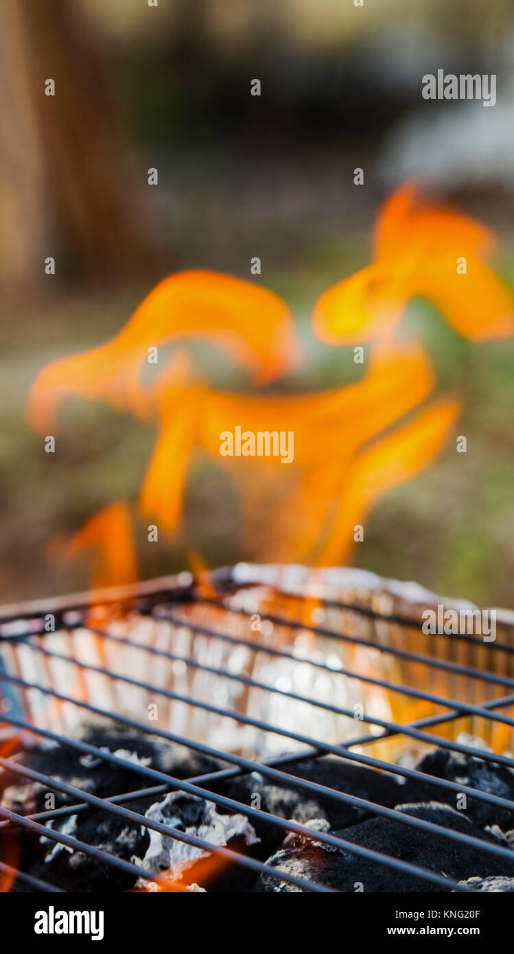 Burning flames and barbecue closeup Stock Photo - Alamy