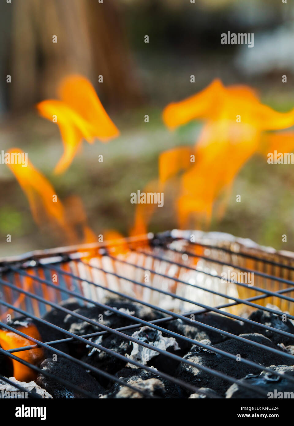 Burning flames and barbecue closeup Stock Photo - Alamy